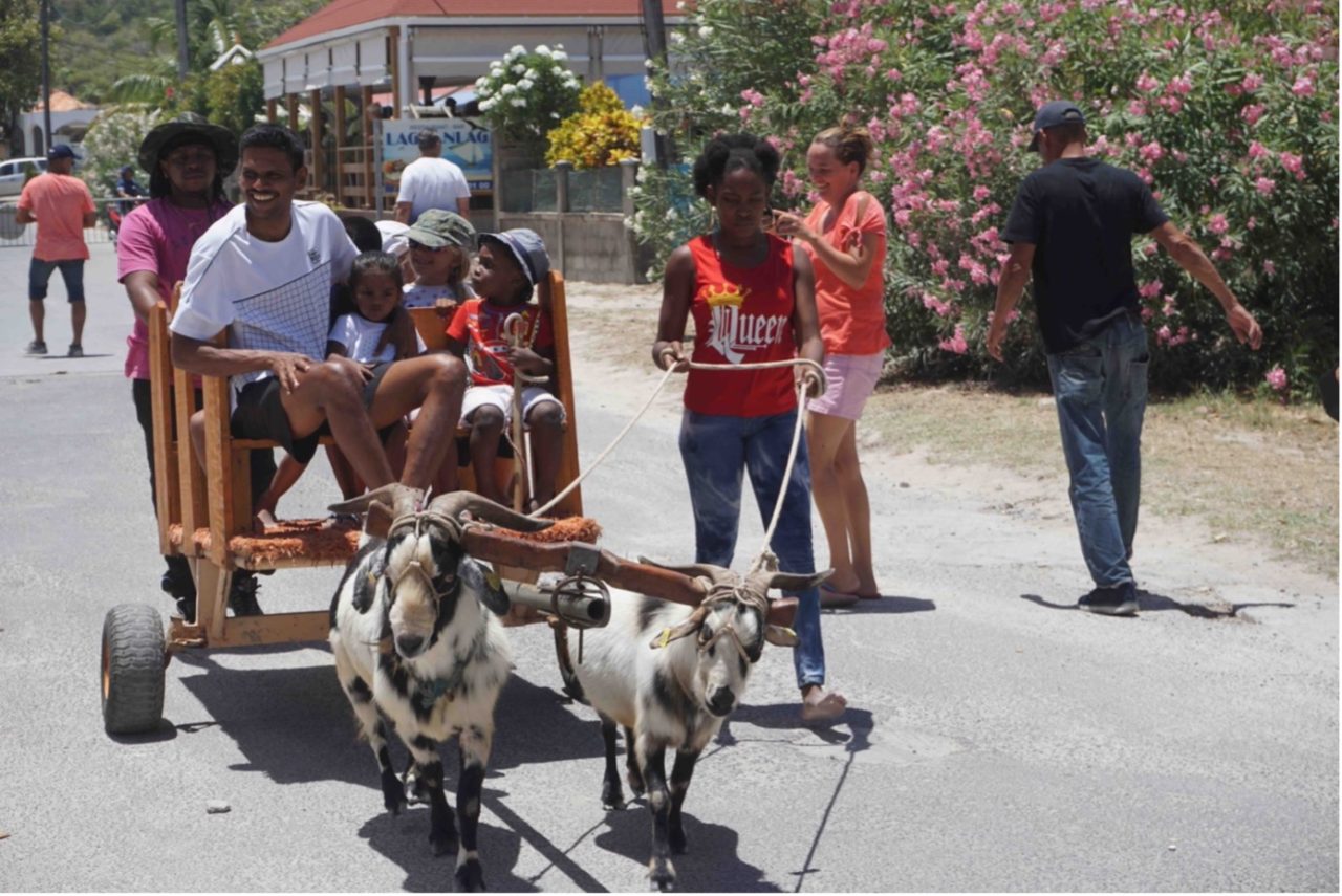 Fête du cabri ou « Fèt à Kabrit » 2023 - Zandolikoko